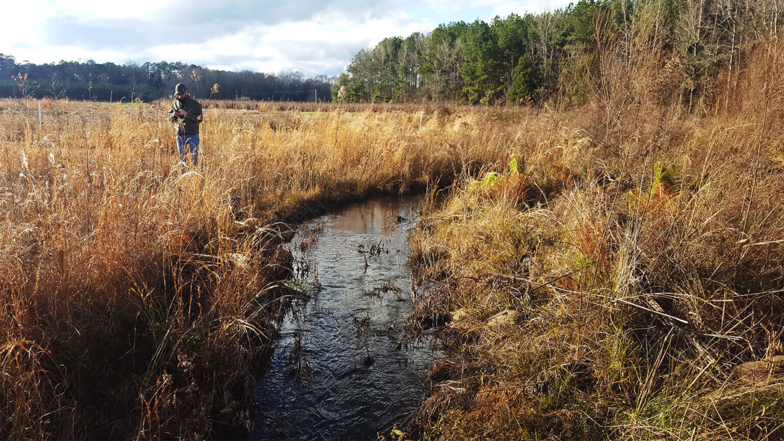 Broadview Mitigation Bank - GMC Network