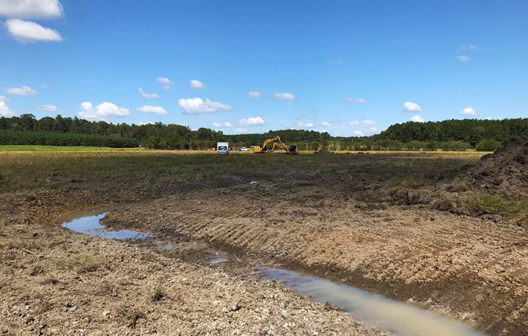 Broadview Mitigation Bank - Goodwyn Mills Cawood