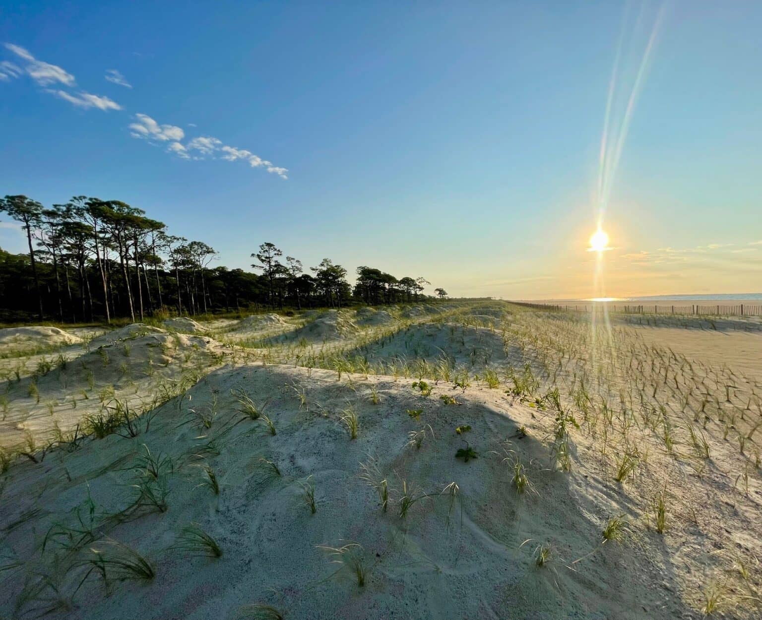 Dauphin Island East End Beach & Dune Restoration - Goodwyn Mills Cawood